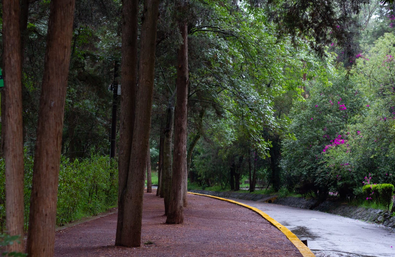 Parques bonitos en CDMX | tudepa.com